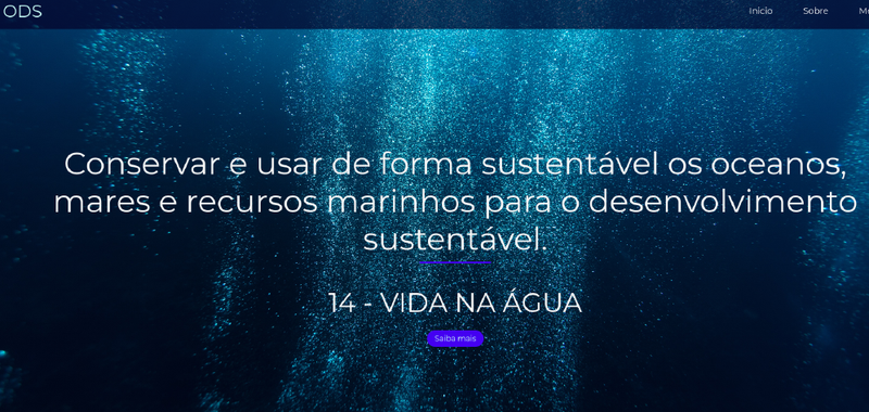 Genesis Lima - Projetos